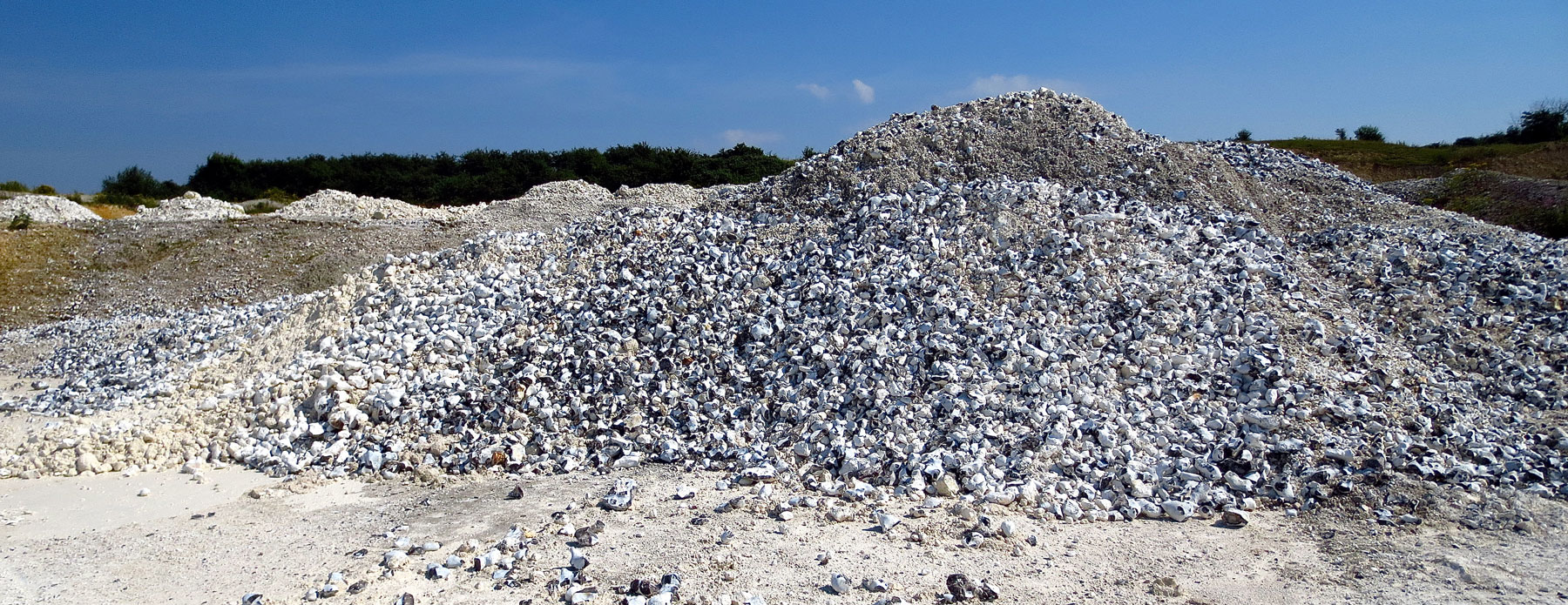 Flint - the flintman company ltd.