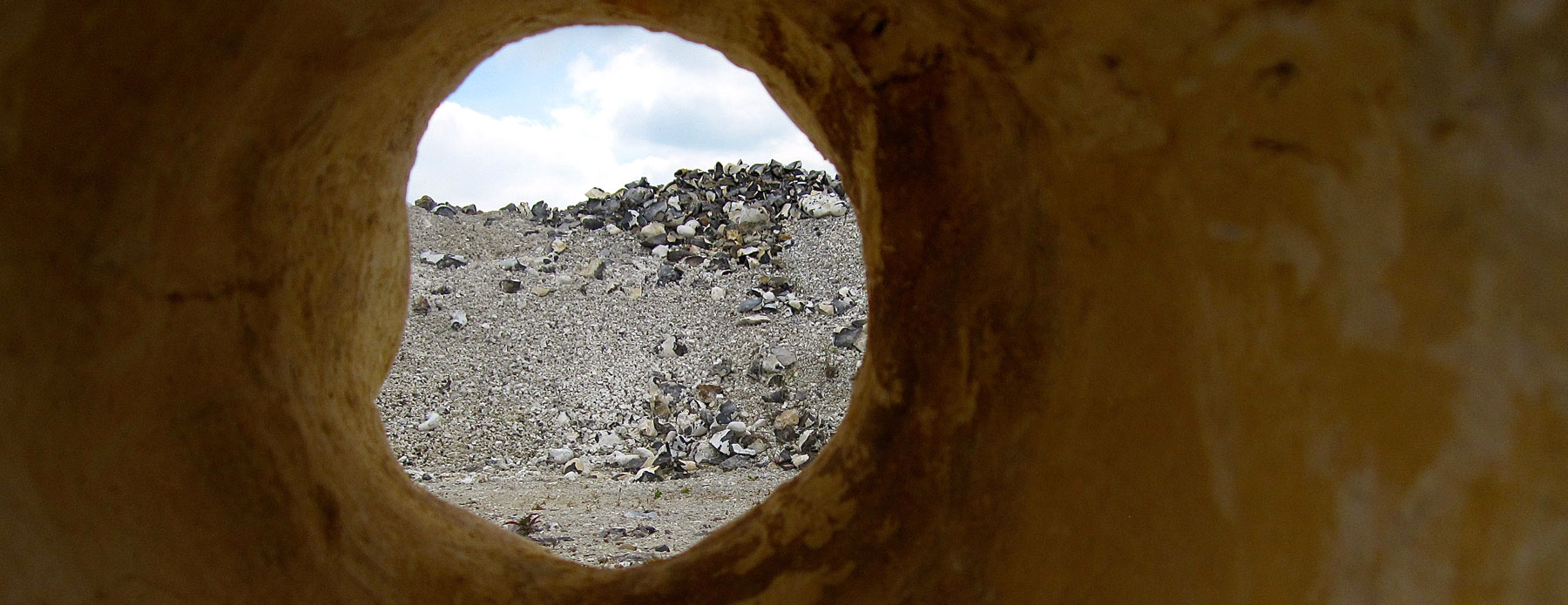 Flint - the flintman company ltd.
