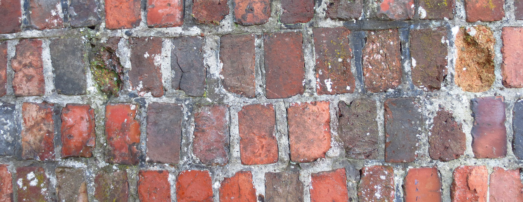 Bungeroosh - the flintman company ltd.