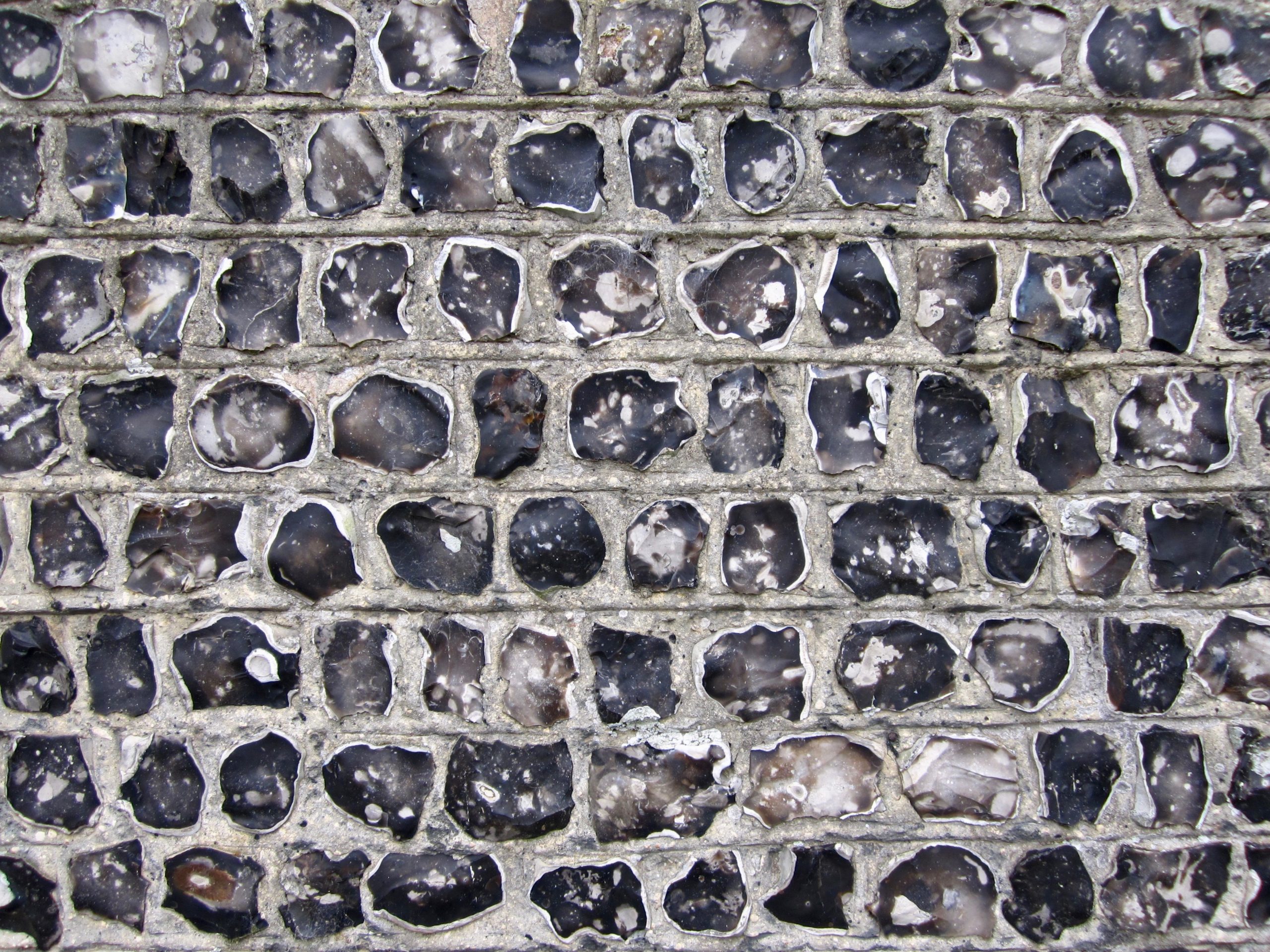 Snapped - flintman company
